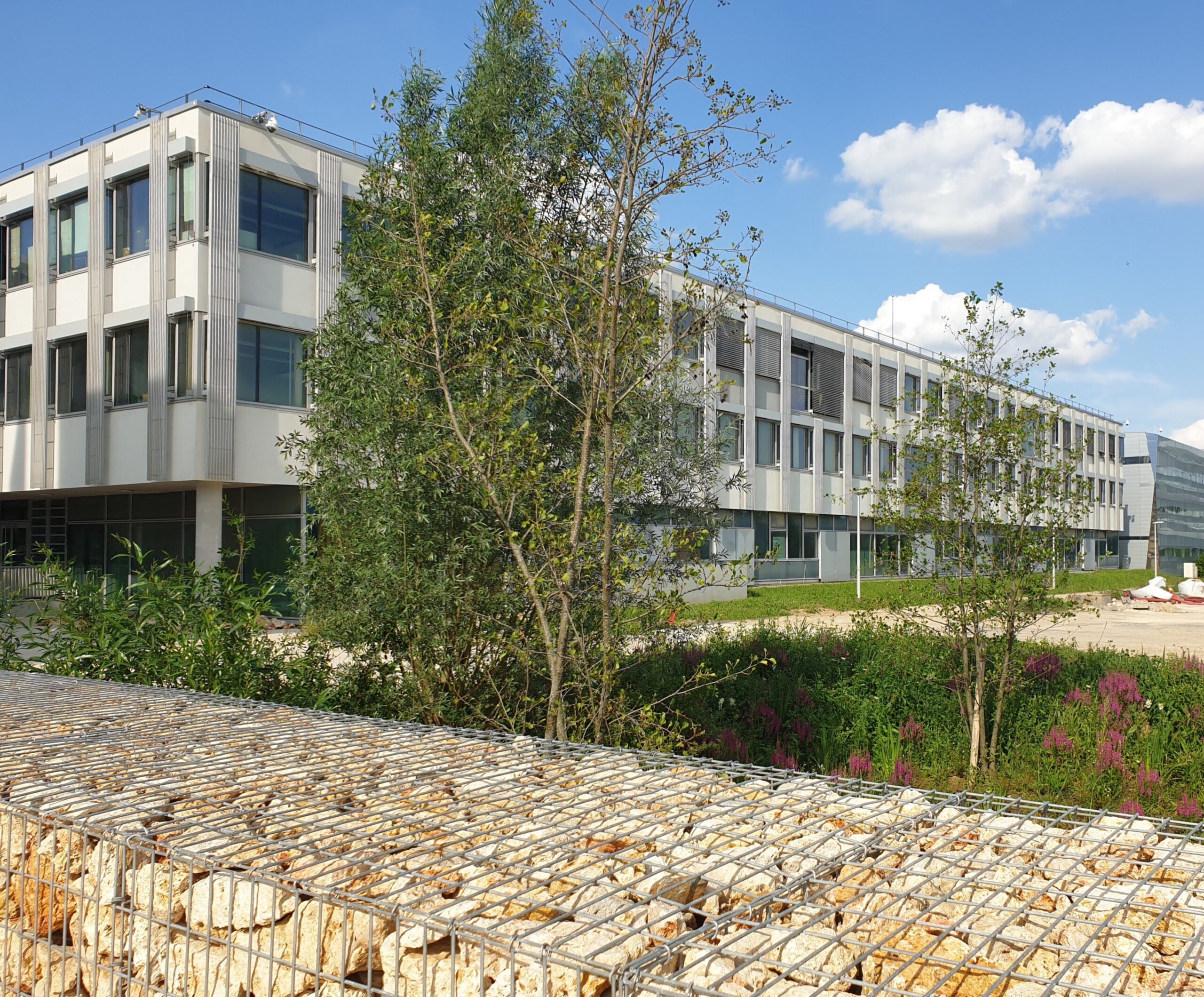 The Laboratory - LISN | Laboratoire Interdisciplinaire des Sciences du Numérique